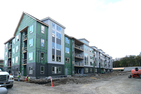 Underlayment - Structis